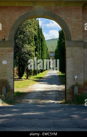 Tuscan villa driveway Stock Photo - Alamy