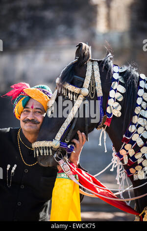 Marwari Horse. Black horse with with traditional tack, portrait. India ...