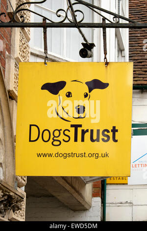 Dogs Trust charity shop sign and logo UK Stock Photo - Alamy