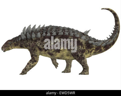 Hungarosaurus was an ankylosaurid herbivorous dinosaur that lived in ...