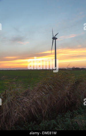 Hinte, Germany, wind turbine in a field Stock Photo - Alamy