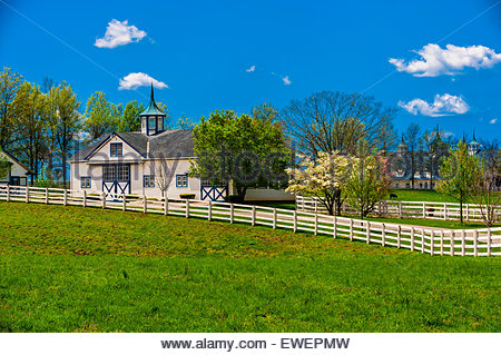 Kentucky, Lexington, Manchester Farm, Thoroughbred horse breeding Stock ...