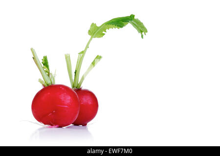 White raddish on white background Stock Photo - Alamy