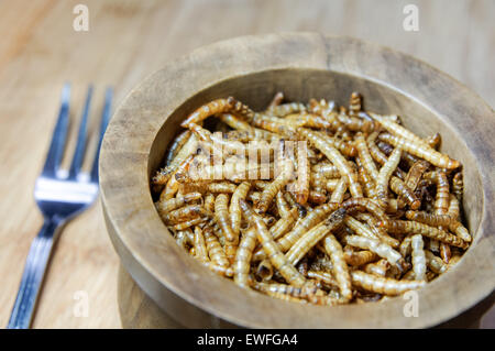 Close-up edible fried worms molitors insects meal with fork suitable as ...