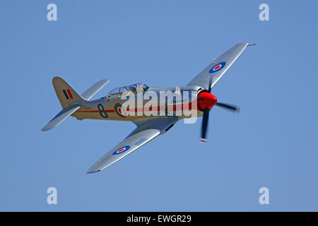 Airplane Fighter WWII Hawker Sea Fury flying at 2015 Planes of Fame ...