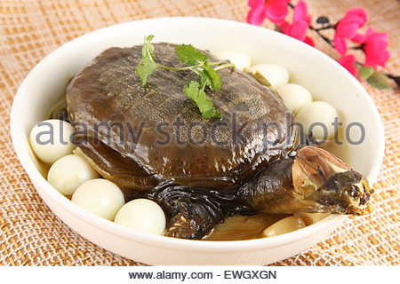 Chinese soft-shelled turtle Stock Photo, Royalty Free Image: 103934082 ...
