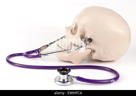 Educational medical supply skull wearing stethoscope Stock Photo - Alamy