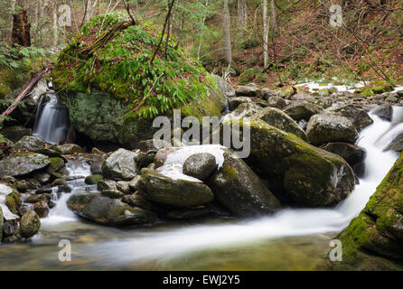 Black Brook Falls along Black Brook in Easton, New Hampshire USA during ...