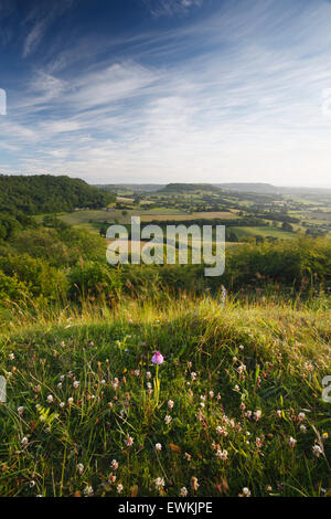 A view towards Frocester Hill from the Costwold Way Stock Photo - Alamy
