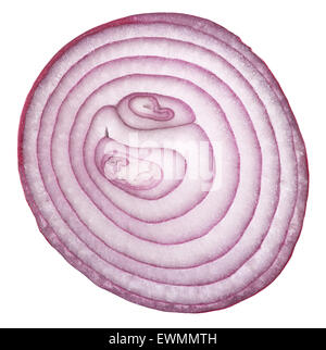 food aliment condiment vegetable onion garlic ingredient heap pile bulb ...