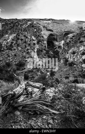 Capitol Reef Brimhall Natural Bridge National Park Stock Photo - Alamy