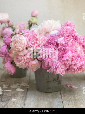 Flower arrangement of pink and white peonies. Natural background Stock ...