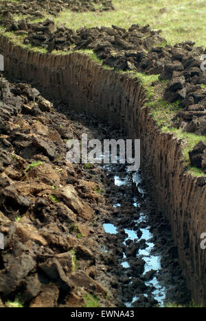 peat fuel blocks for use in an open fire Stock Photo - Alamy