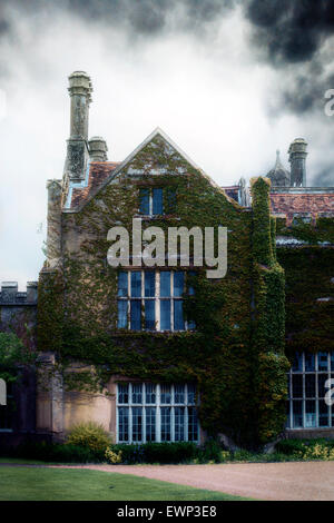 Overgrown by plants old abandoned building interior Stock Photo - Alamy