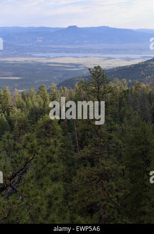 Kit Carson National Forest near Abiquiu Rio Arriba County New Mexico ...