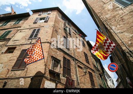 Flags of the Siena contrade (districts), Palio festival background ...