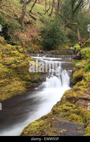 A scenic view of Dartmoor near the Okement River, capturing the rugged ...