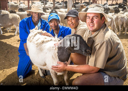 Namibia - Portrait of sheep and shepherds in Africa Stock Photo - Alamy
