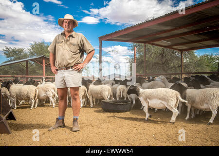 Namibia - Portrait of sheep and shepherd in Africa Stock Photo - Alamy
