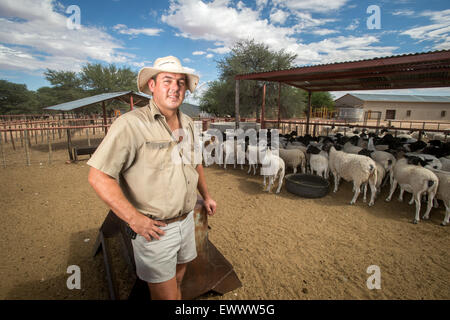 Namibia - Portrait of sheep and shepherd in Africa Stock Photo - Alamy