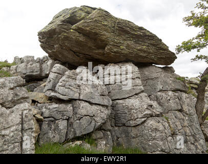 Norber erratics glacial deposition, Austwick, Yorkshire Dales Stock ...