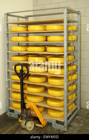 Pallet with cheese Stock Photo - Alamy