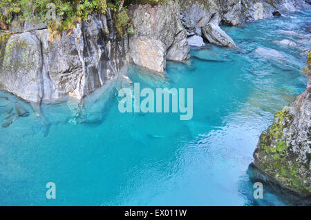 Clean Haast river in New Zealand Stock Photo - Alamy