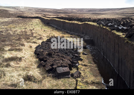 dh Peat bank PEAT UK Cut peat sod turf fuel peat stack cutting scotland ...