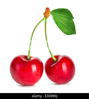 Cherry isolated. Sour cherry. Cherries with leaves on white background ...