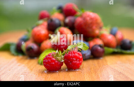 crimson steam amid berry collection Stock Photo - Alamy