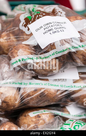 Comber "Earlies" potatoes on sale at the Comber Potato Fair Stock Photo ...