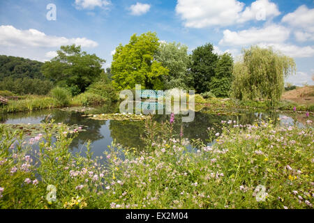 France, Dordogne, Carsac water gardens, frog on a hydrophobic lotus ...