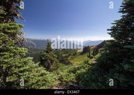 Hurricane Ridge view Stock Photo - Alamy