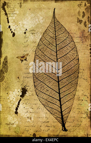 Collage with insects Stock Photo - Alamy
