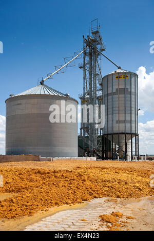 Distiller's moist grains - co-product from Ethanol production used as ...