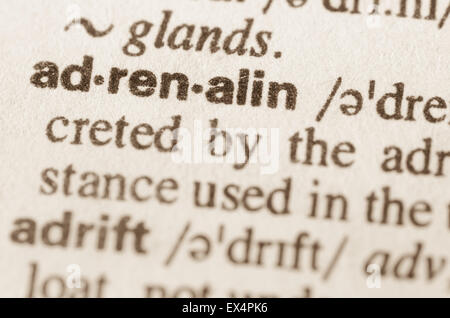 Adrenaline Definition Word Text in Dictionary Page. Shallow depth of ...