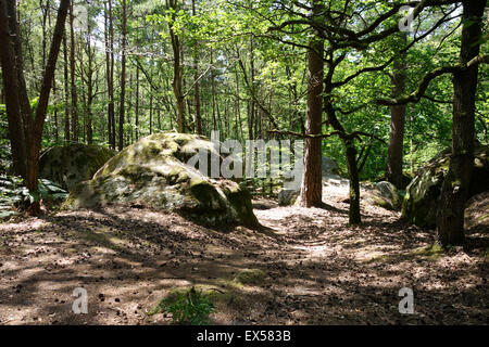 Sandstone Boulders or Rocks in the Forest near Annot Aples-de-Haute ...