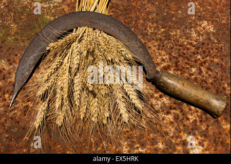 Sickle and wheat Stock Photo - Alamy