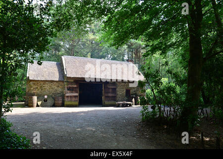Interior of 19th century Irish blacksmith's forge at the Ulster ...