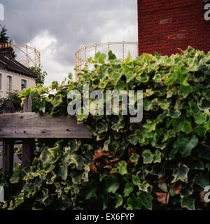 Victorian gasometer towers over the suburban housing in Croydon, South ...