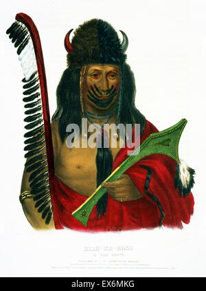 A Native American chief wearing his headdress. Artist: Unknown Stock ...