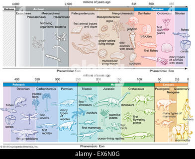 Geologic time scale Stock Photo - Alamy