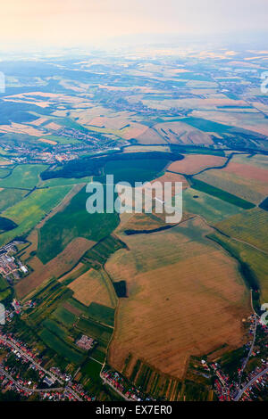 Aerial view of field windbreak in autumn Stock Photo - Alamy