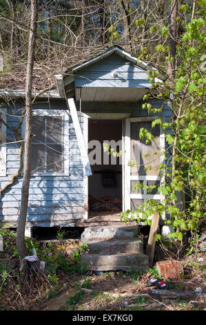Old abandoned wooden cabins overgrown by vegetation in rural Virginia ...