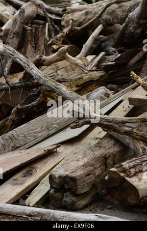 Wood and branches washed up on the beach and bleached in the sun look ...