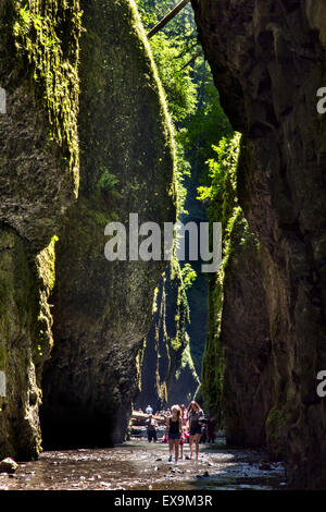 Oneonta Gorge, Pacific Northwest, Oregon Stock Photo - Alamy
