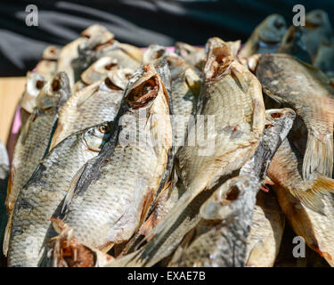a bunch of all sorts of different dried fish Stock Photo - Alamy