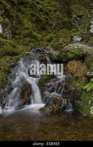 Stream falling through moss and trees, Autumn Fall. United Kingdom ...