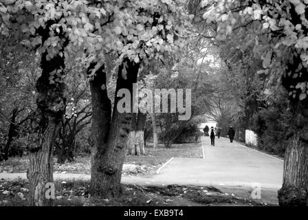 Autumn in city park, Almaty, Kazakhstan Stock Photo - Alamy
