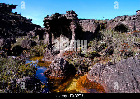 Mount Roraima, Venezuela Stock Photo - Alamy